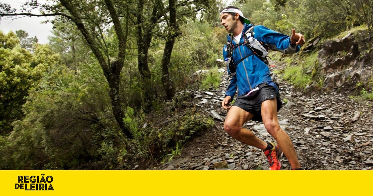 Artigo layout normal – Região de Leiria