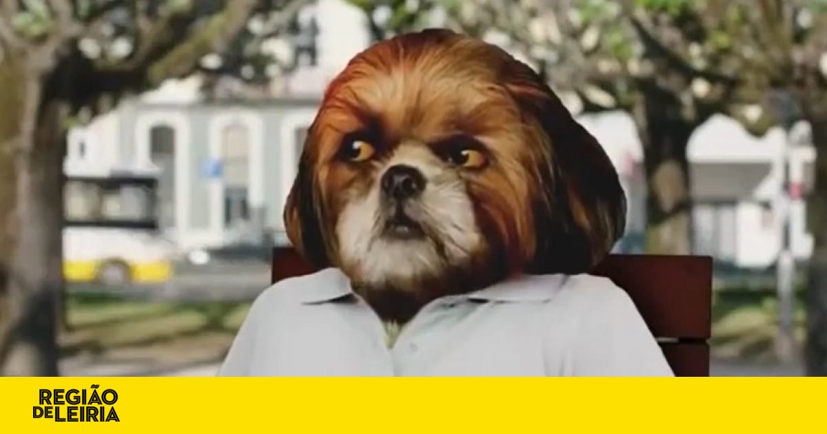 João Moreira e Pedro Santo em Leiria para exibição de "O Filme do Bruno ...