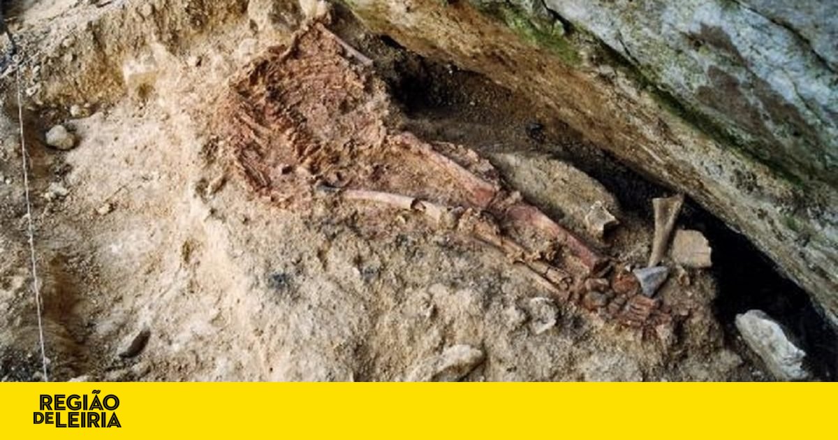 Museu Nacional de Arqueologia mostra esqueleto da Criança do Lapedo na ...