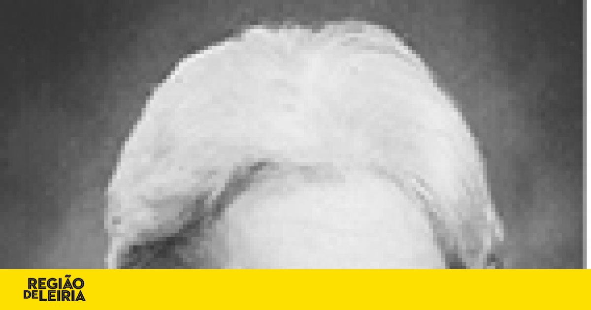 José Rosa da Piedade – Região de Leiria