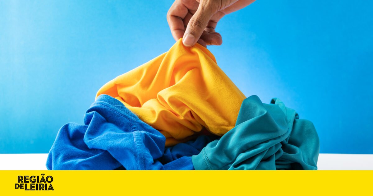 Escolas do concelho de Leiria evitam desperdício têxtil de 1,6 ...