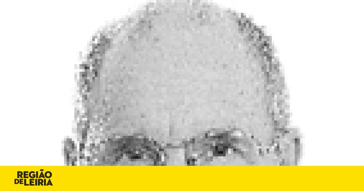 Jorge da Silva Monteiro – Região de Leiria