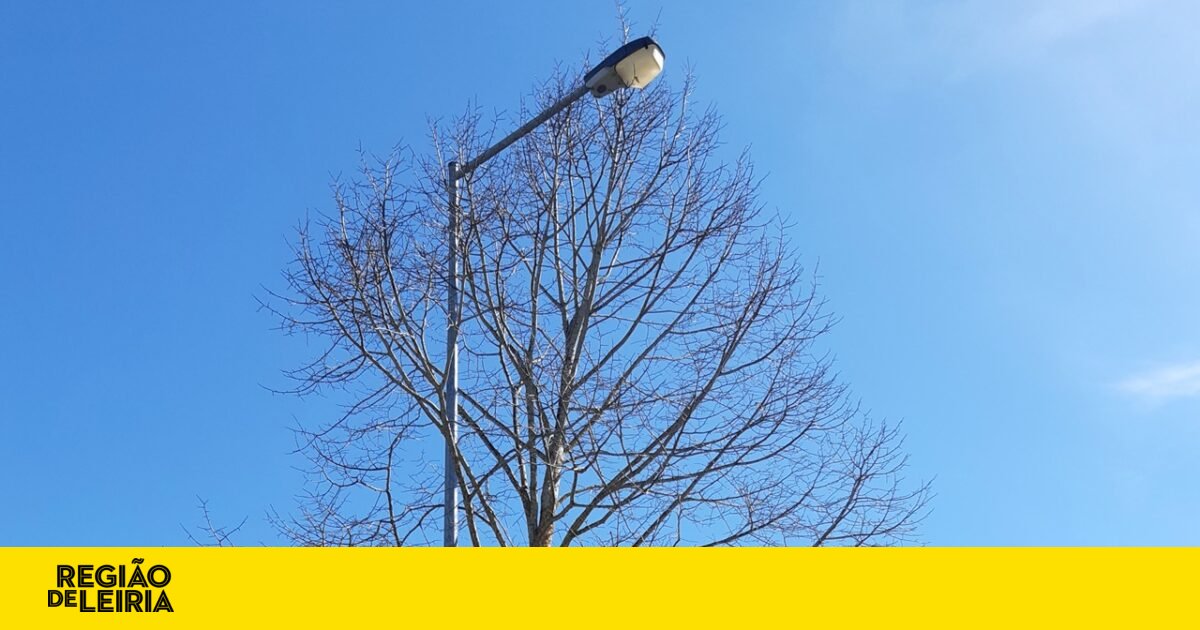 Consegue ver onde está o poste de luz? - Região de Leiria