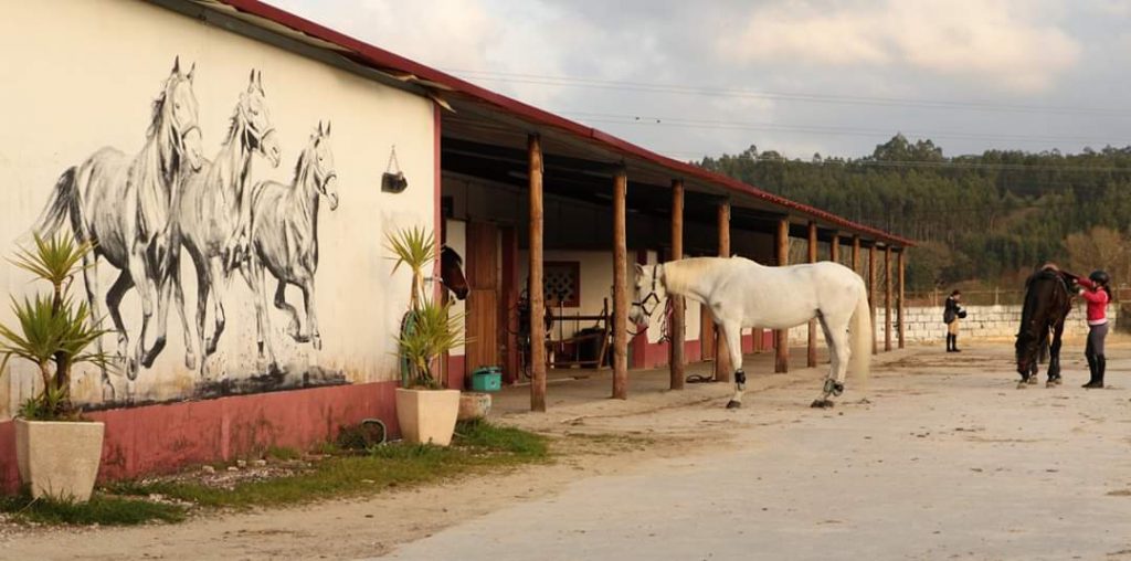 Quinta Vale do Lena – Região de Leiria