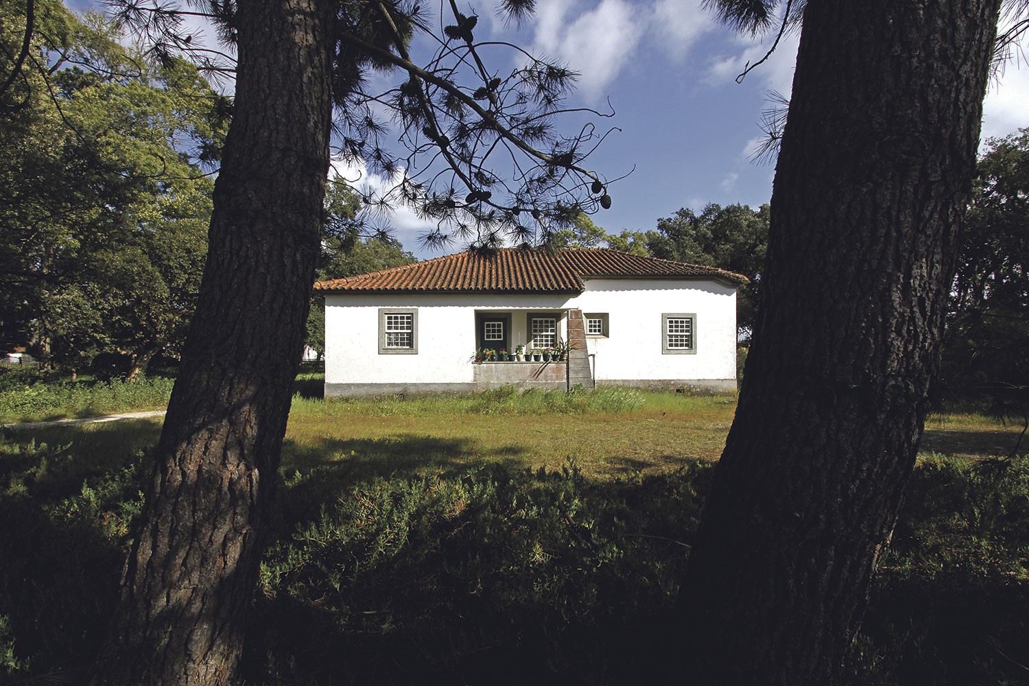 Livro sobre edifícios do Pinhal do Rei vence Prémio Villa Portela 2020 ...