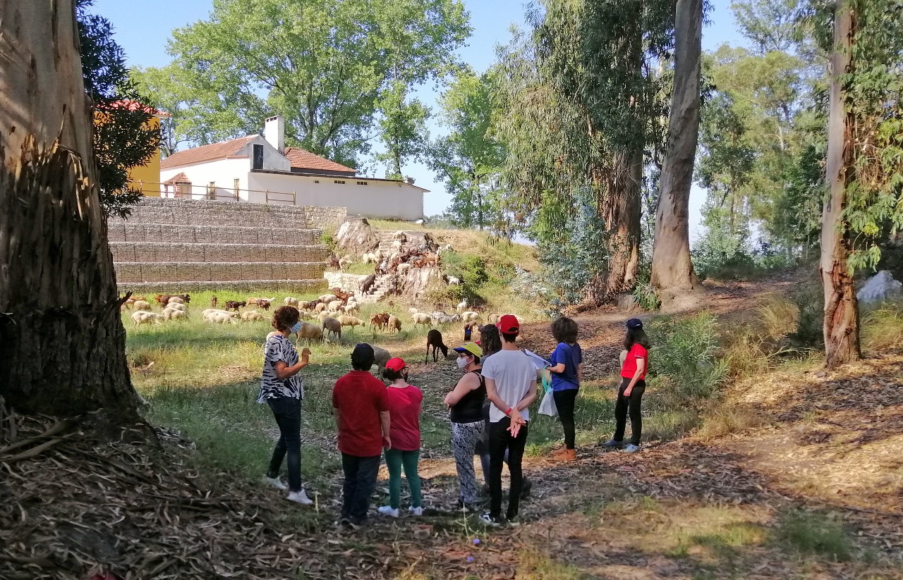 “Guardiões” e “guia incompleto” estão a ajudar a salvar os 90 hectares ...
