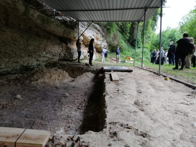 Proposta classificação da “Criança do Lapedo” como Património da ...