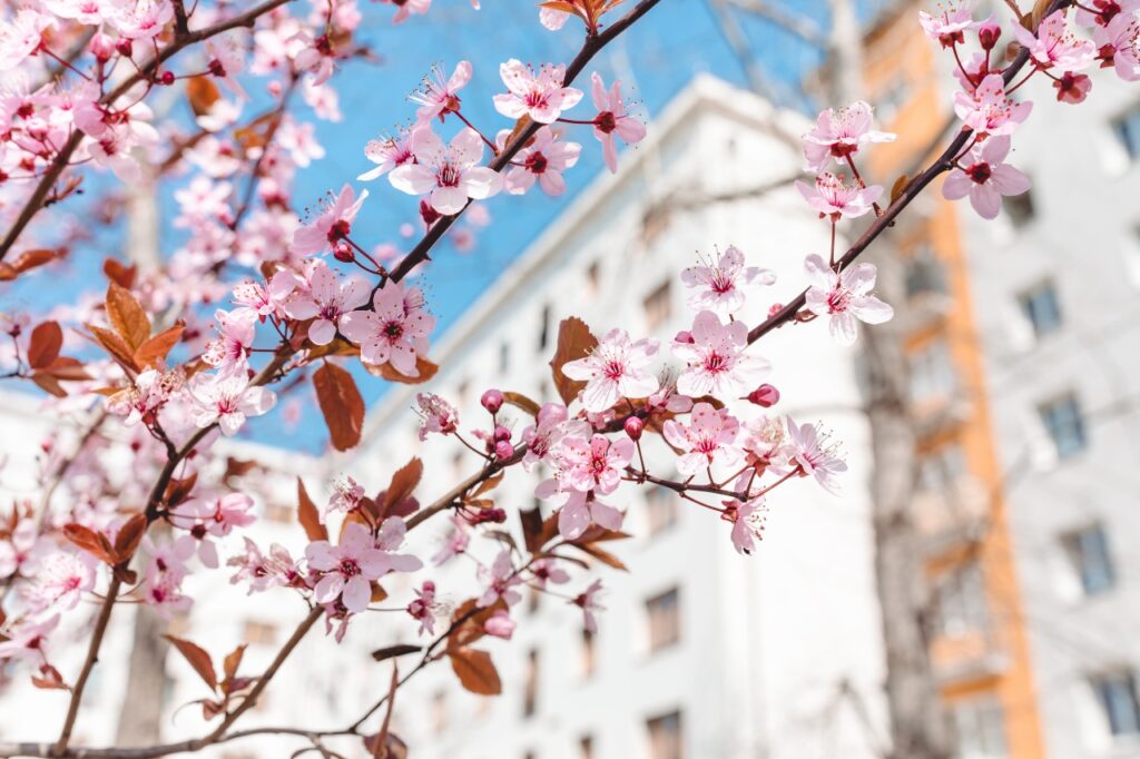 Primavera começa hoje com sol e temperaturas máximas a chegar aos 22 ...