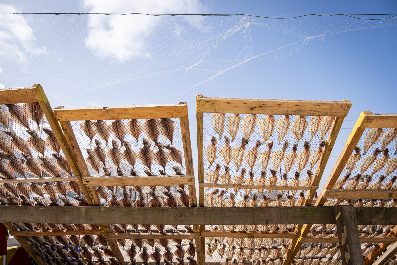 Peixe seco: uma tradição que está a secar que nem um carapau – Região ...